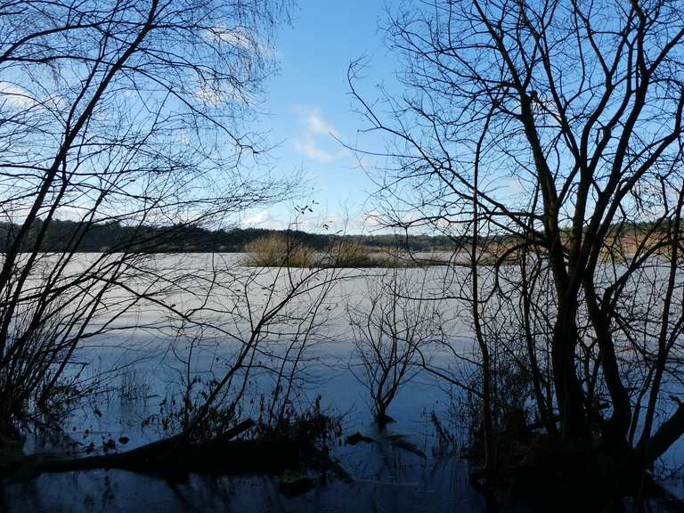 Blakemere Moss Routes for Walking and Hiking | Komoot