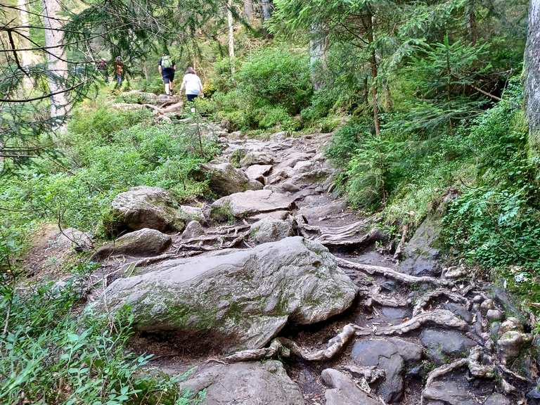 Steiniger Weg: Wanderungen und Rundwege | komoot