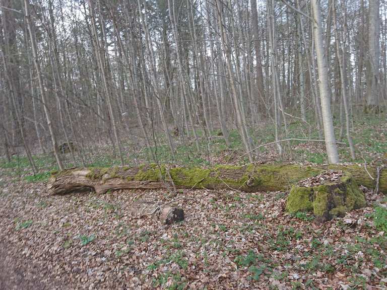 Idyllischer Unterstand mit Bank: Mountainbike-Touren und -Trails | komoot