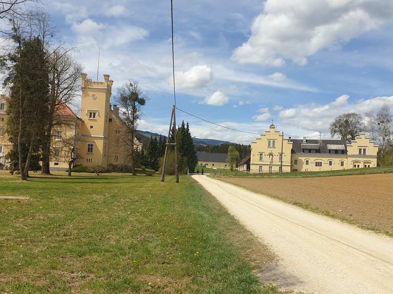 Schloss Weißenau: Mountainbike-Touren und -Trails | komoot