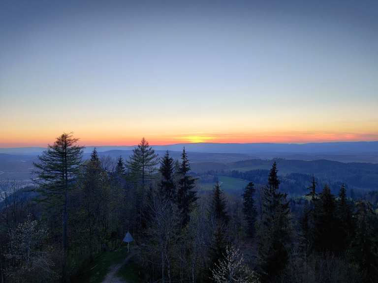 Aussichtsturm Bantiger: Wanderungen und Rundwege | komoot
