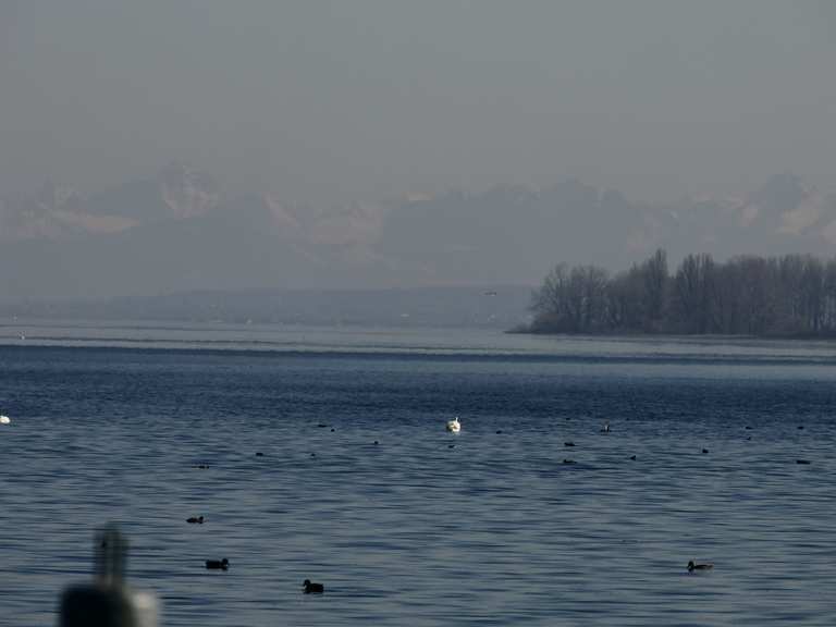 Moos (Bodensee) : Radtouren und Radwege | komoot