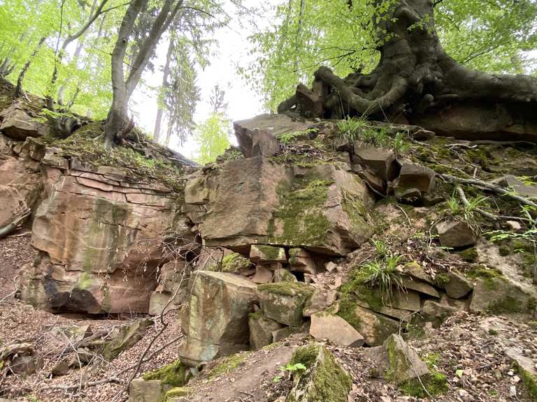 Sendero de la Cantera de Arenisca (Neckarhalde): Rutas de senderismo y ...