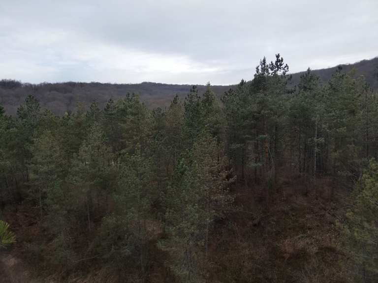 Cheile Baciului Nature Reserve - Mountain Bike Trails & Tracks | Komoot