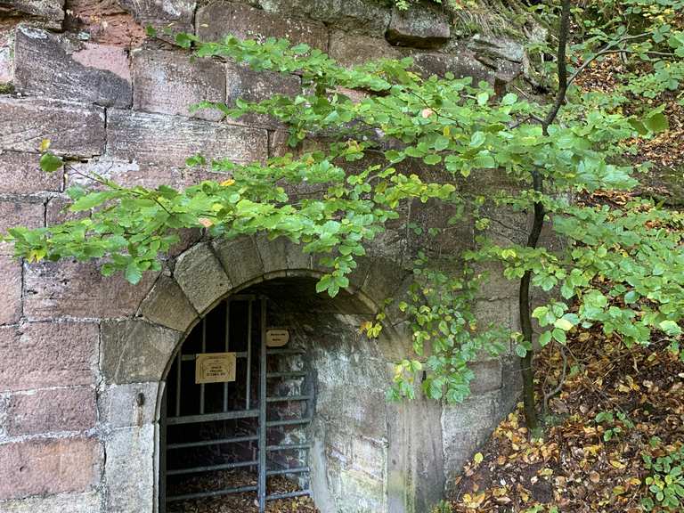 Historisches Wildecker Tal – Ruine Blumenstein Rondje vanuit Raßdorf ...