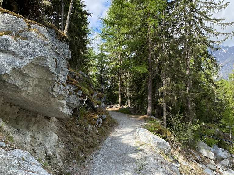Gasenried: Wanderungen und Rundwege | komoot