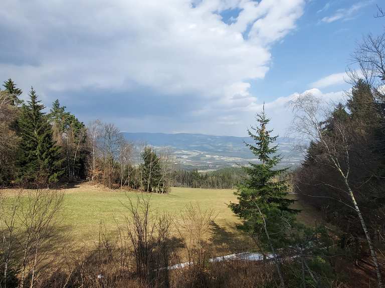 Freiberger Wetterkreuz – Percorsi escursionistici e ciclabili | Komoot