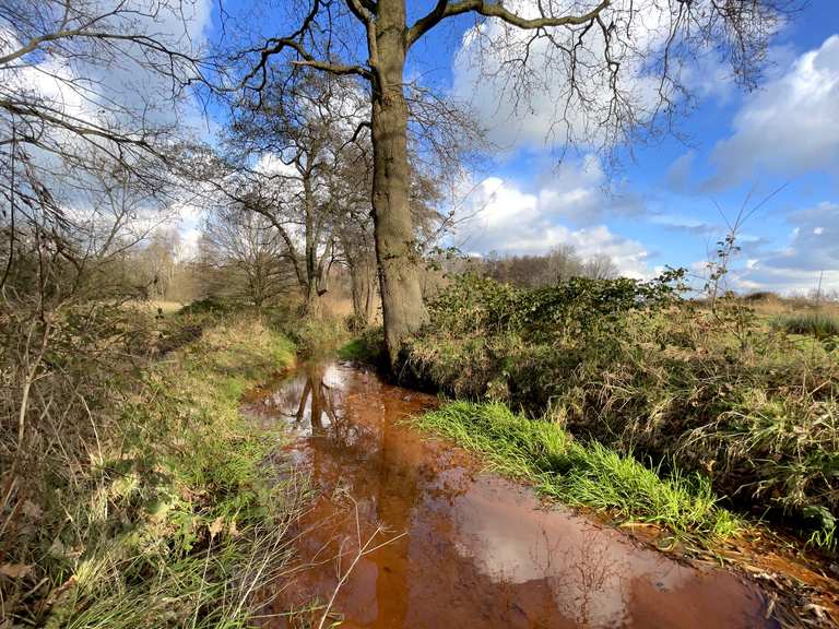 IJzerrijke slootjes bij de Peelrandbreuk: Wanderungen und Rundwege | komoot