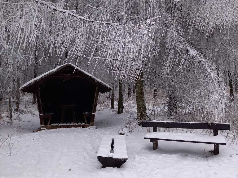 Altenberg Geising – Aussicht Runde von Geising | Wanderung | Komoot