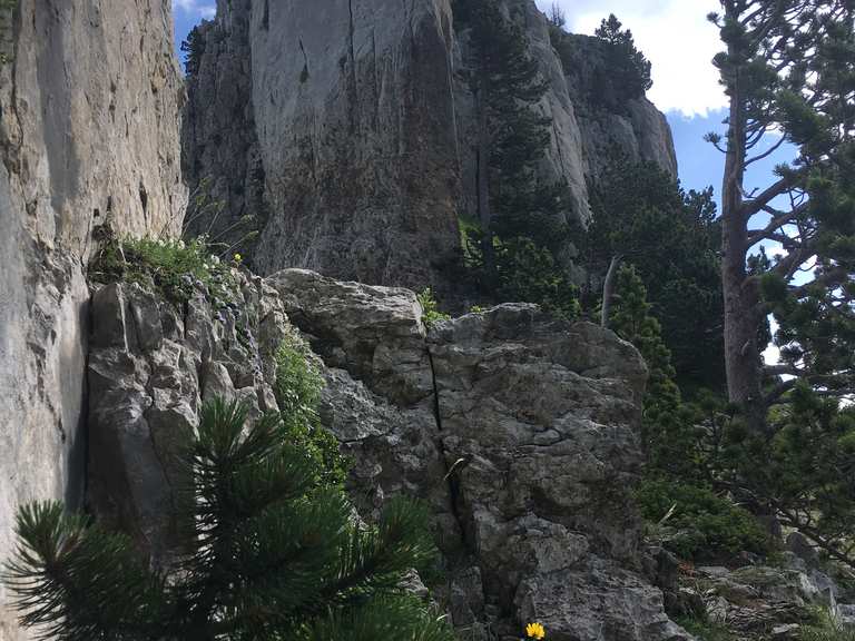 Pas de l'Osque - Itinéraires de rando et marche | Komoot