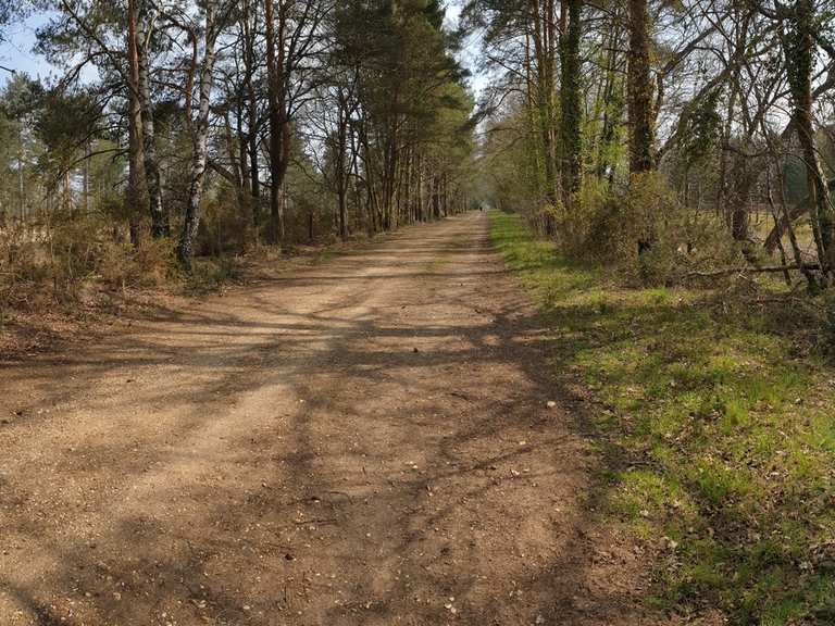 Part of the old castleman trailway: MTB-routes en trails | Komoot