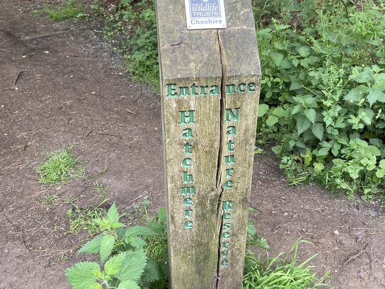 Hatchmere Nature Reserve Routes for Walking and Hiking | Komoot