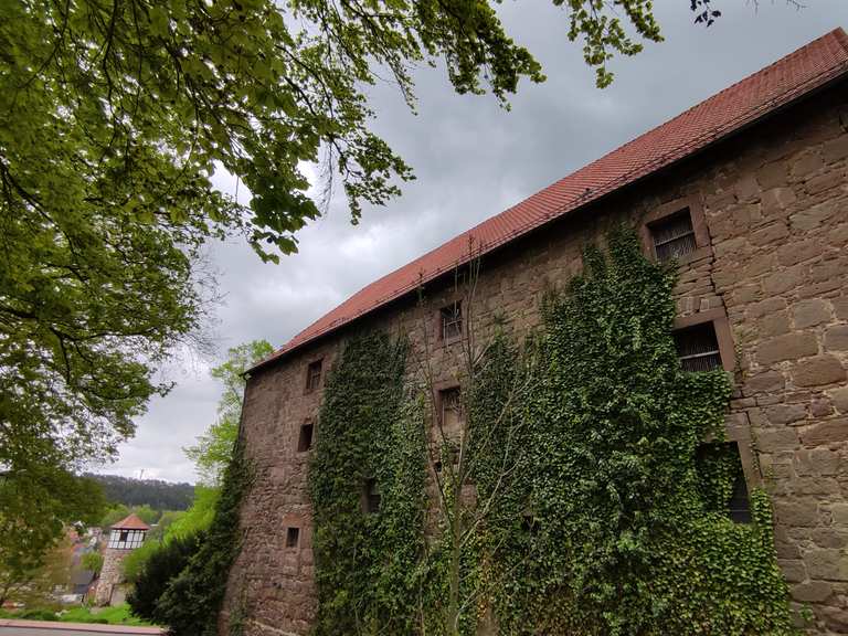 Burg Hardeg (in Hardegsen): Wanderungen und Rundwege | komoot