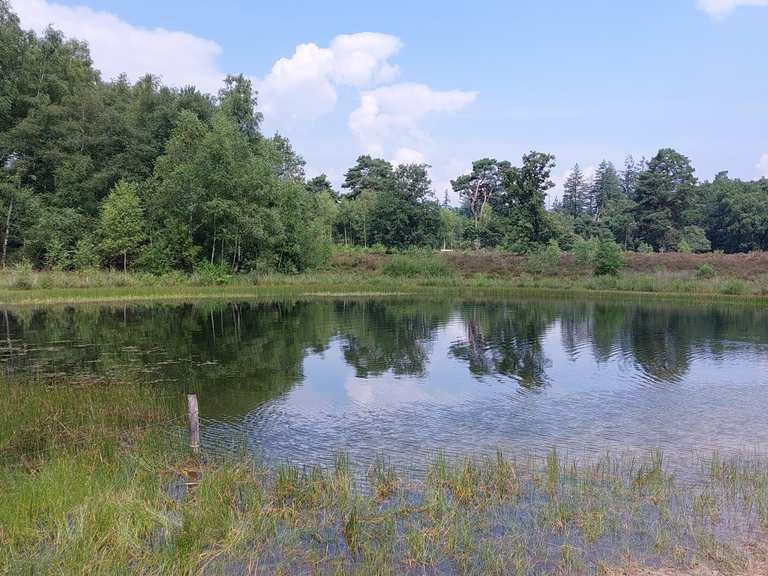 Mooi uitzicht over meertje wandelroutes en hikes | Komoot
