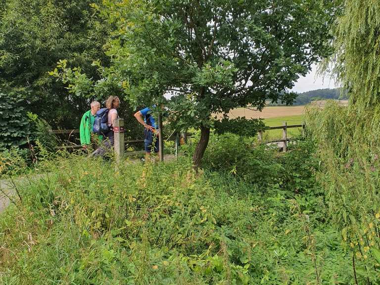Bad Emstal-Sand – Engels Ruh Runde von and | Wanderung | Komoot