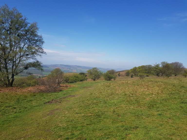 Boucle de Wills Neck depuis Triscombe Stone — Quantock Hills ...