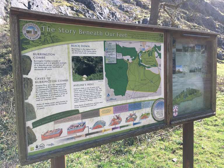 Burrington Combe - Itinéraires de rando et marche | Komoot