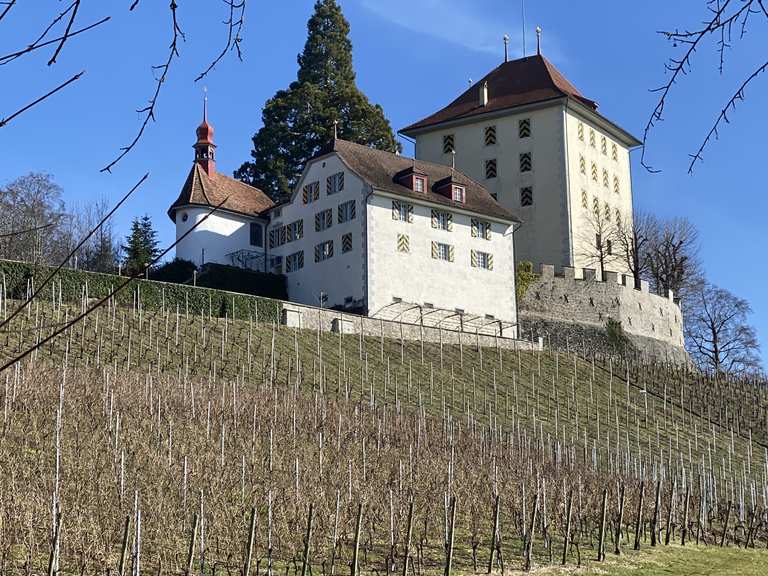 View of Heidegg Castle - Cycle Routes and Map | Komoot