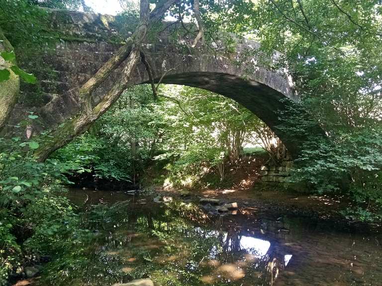 Dob Park Bridge Routes for Walking and Hiking | Komoot