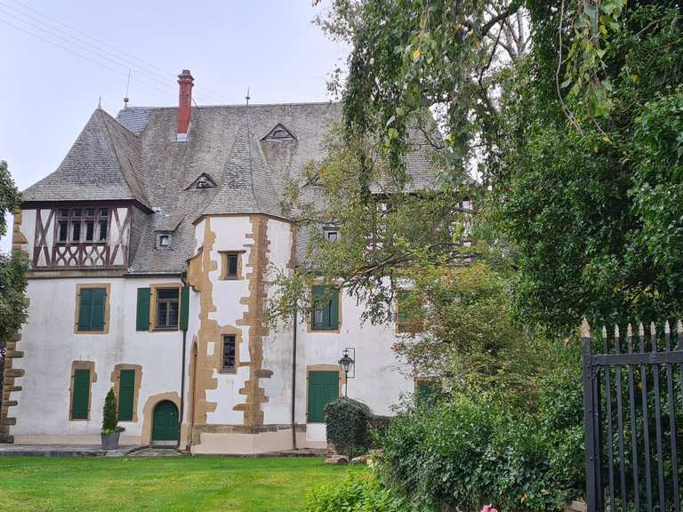 Schloss Allenbach Routes for Walking and Hiking | Komoot