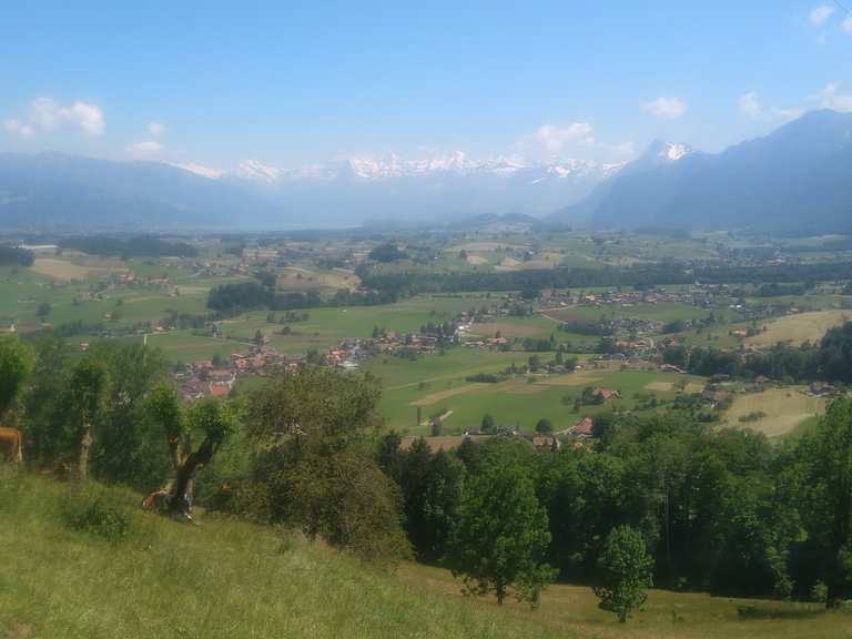 Vista del Eiger, Mönch y Jungfrau: Rutas MTB | Komoot