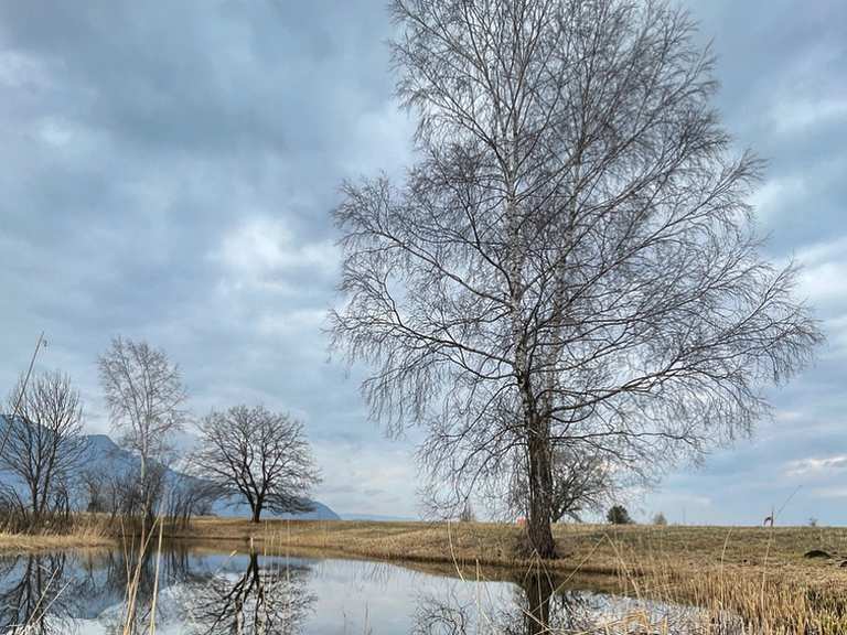 Ruggeller Riet Routes for Walking and Hiking | Komoot