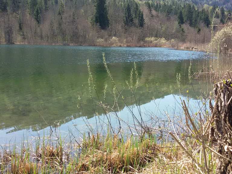 Rauschelesee : Radtouren und Radwege | komoot