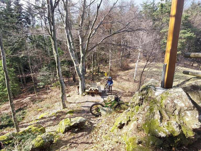 Freiberger Wetterkreuz – Percorsi escursionistici e ciclabili | Komoot