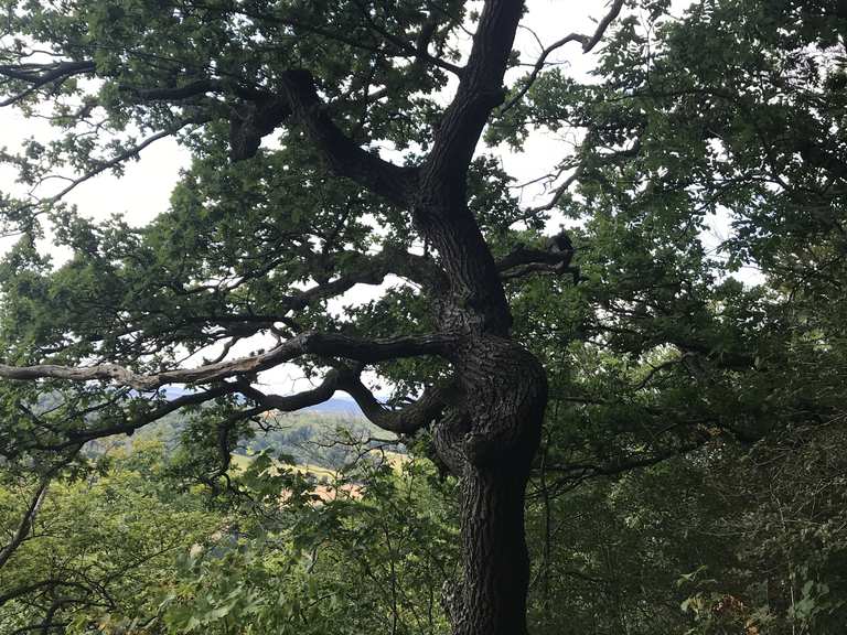 Kanstein wandelroutes en hikes | Komoot