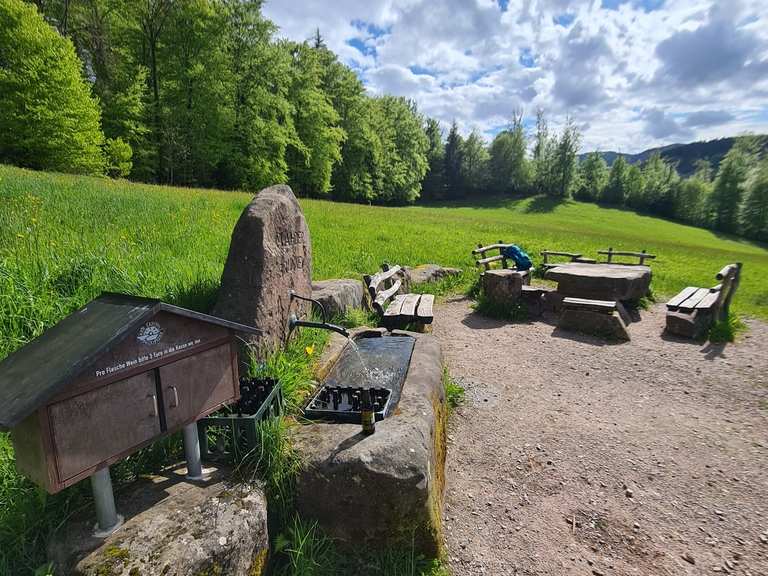 Fontanna winna Mähderbrunnen i miejsce piknikowe – trasy piesze | Komoot