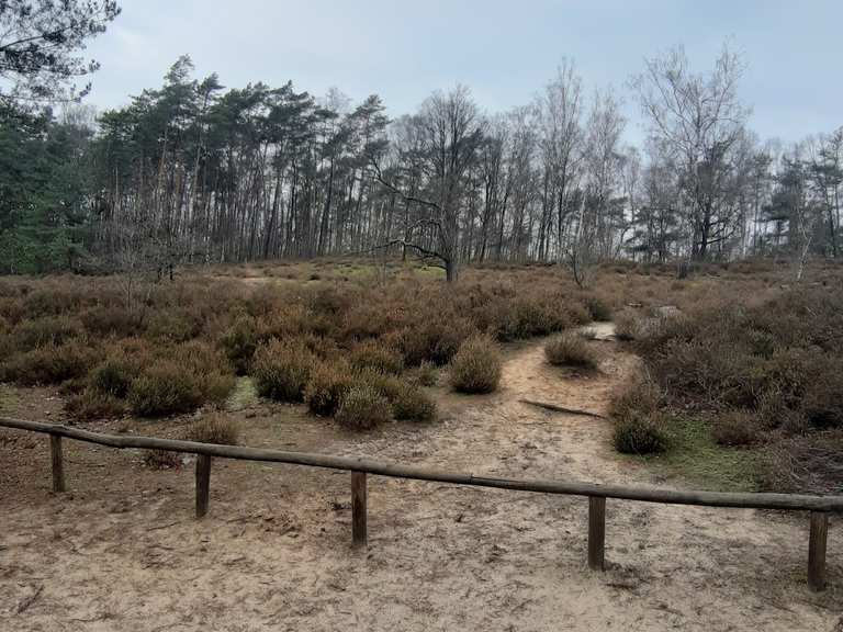 De Bolderberg wandelroutes en hikes | Komoot