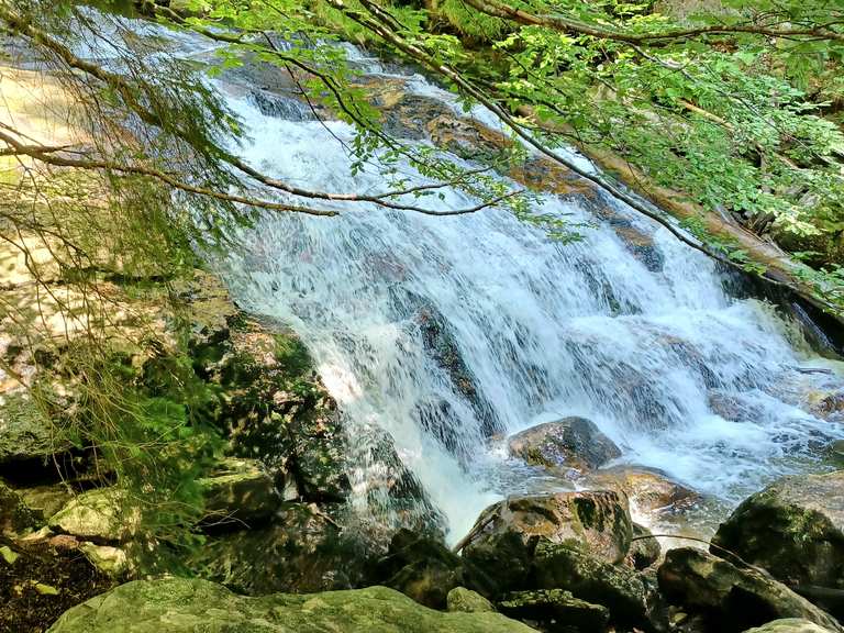 Riesbach: Wanderungen und Rundwege | komoot