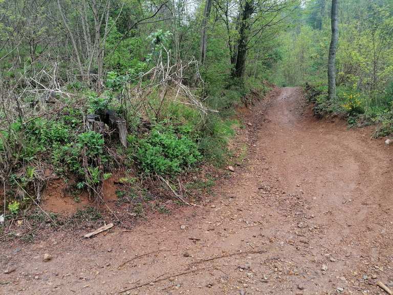 Von Albavilla zur Capanna Mara (über Route 315) | Wanderung | Komoot