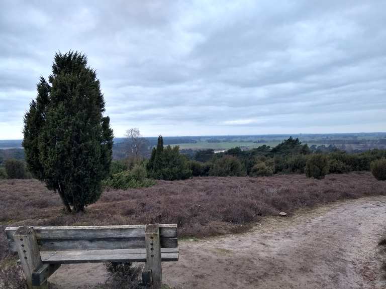 Uitzicht vanaf de Lemelerberg wandelroutes en hikes | Komoot