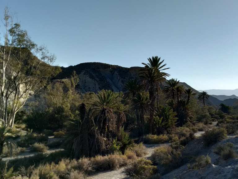 Oasis de Tabernas Routes for Walking and Hiking | Komoot