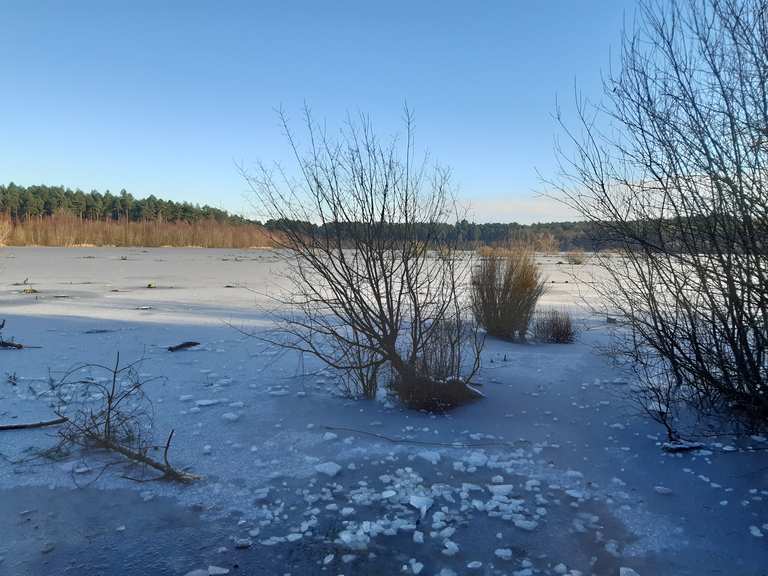 Blakemere Moss Routes for Walking and Hiking | Komoot