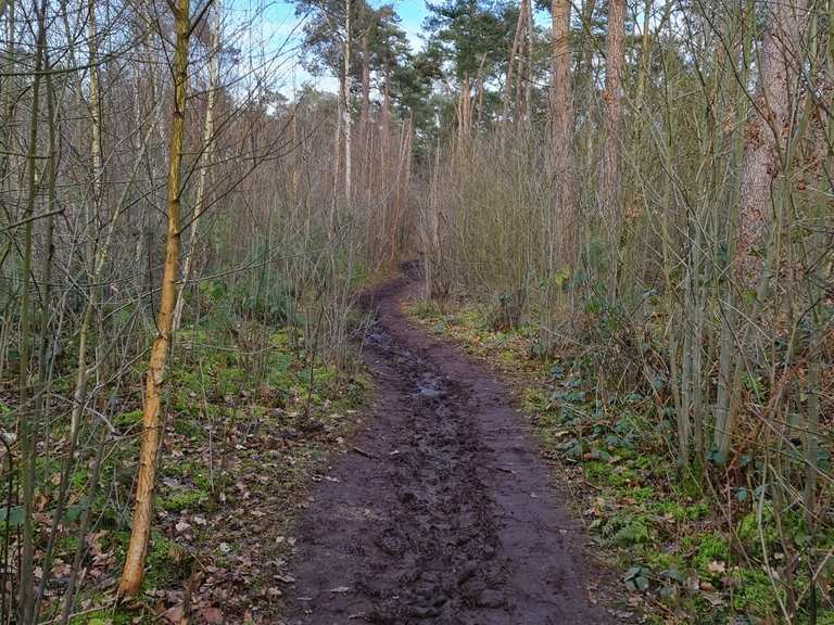 Droge heide - herstelgebied wandelroutes en hikes | Komoot