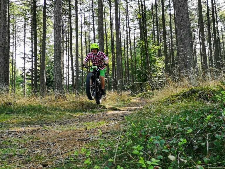 Bos Mountainbikeroute: MTB-routes en trails | Komoot