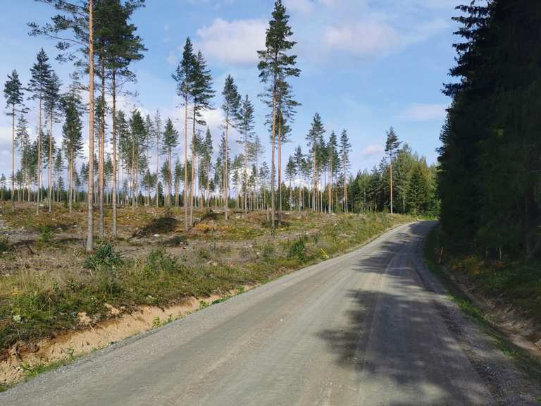 Finland Routes | Komoot