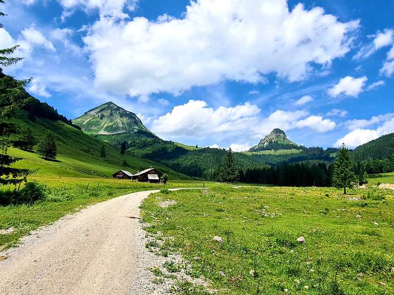 Genner-Runde mit Seewaldsee – Tipps der Bike-Hotels | E-Mountainbike ...