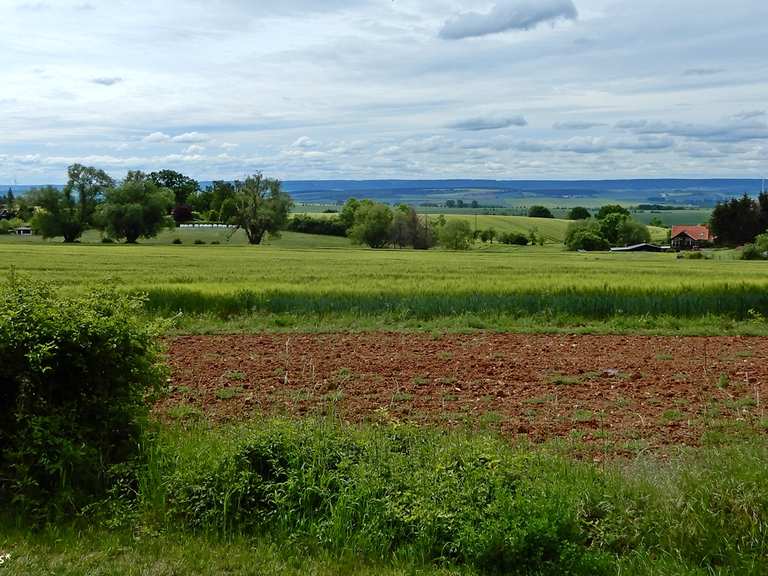 Karstwanderweg - Woffleben-Sattelköpfe-Hörningen: Wanderungen und ...