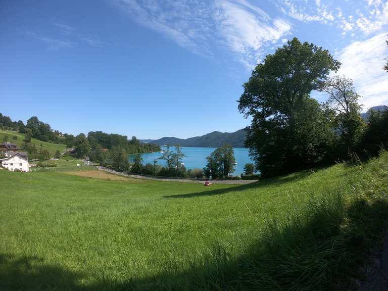 Von Stockwinkel zum Attersee : Radtouren und Radwege | komoot