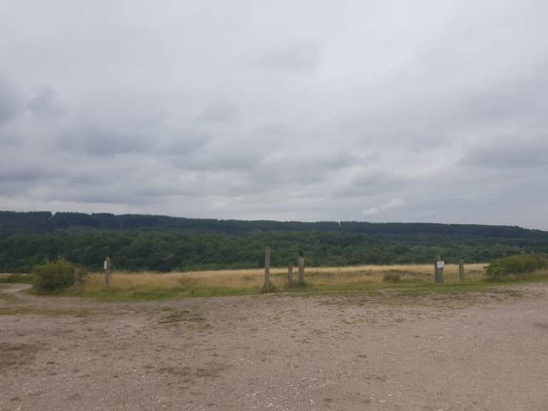 Newstead and Annesley Country Park - Cycle Routes and Map | Komoot