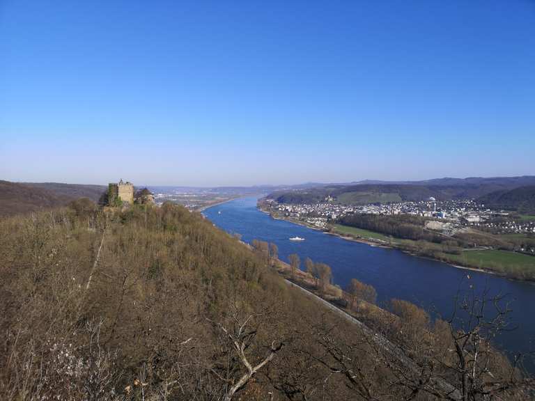 Burg Rheineck: Wanderungen und Rundwege | komoot