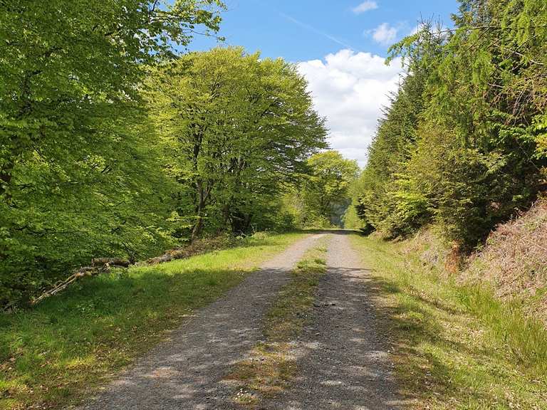 Talybont-on-Usk Reservoir loop along the Taff Trail — Brecon Beacons ...