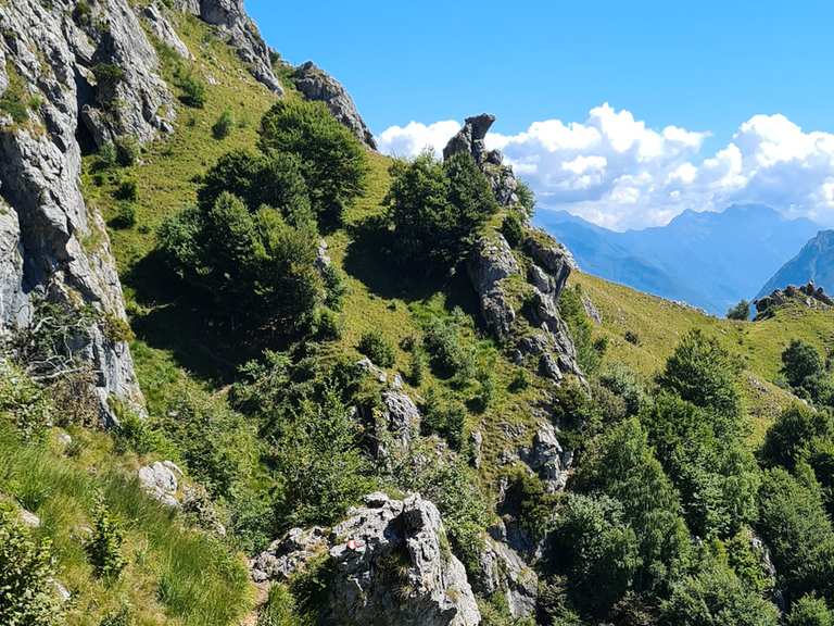 Sentier panoramique au Monte Grona - Itinéraires et carte | Komoot