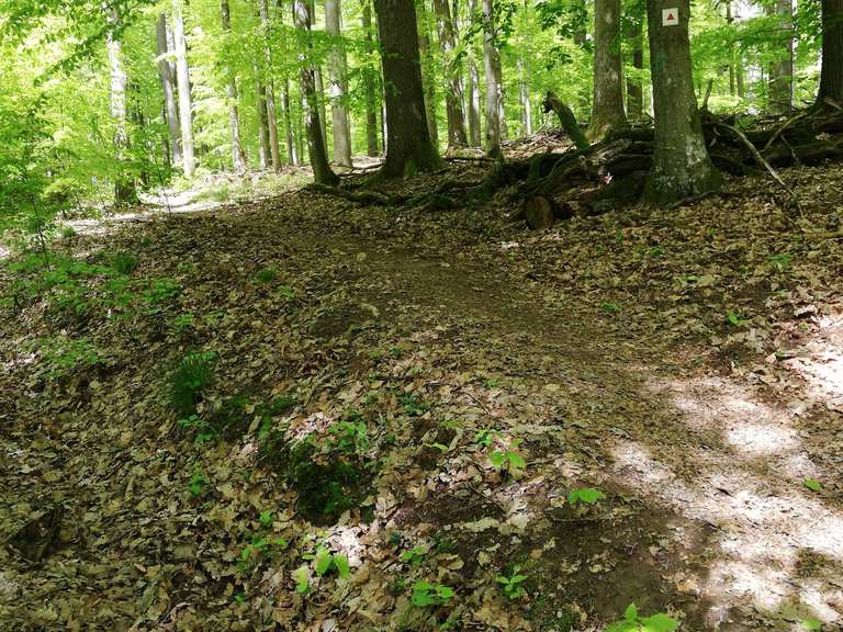 Red Triangle Trail Mountain Bike Trails & Tracks | Komoot