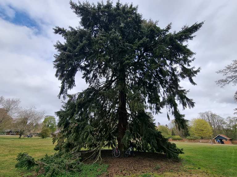 Sandringham House and Gardens - Cycle Routes and Map | Komoot