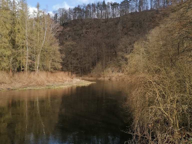 Zwickauer Mulde: Wanderungen und Rundwege | komoot