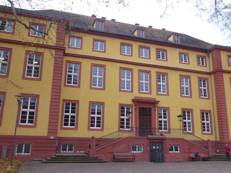 Schloss Hallenburg: Wanderungen und Rundwege | komoot